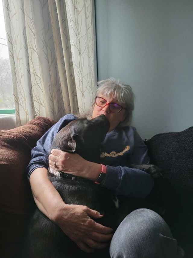 Pet Boarding in Suffolk county, Bay Shore | Bay Shore Ny Pet Sitting Walking Playtime..contact ...