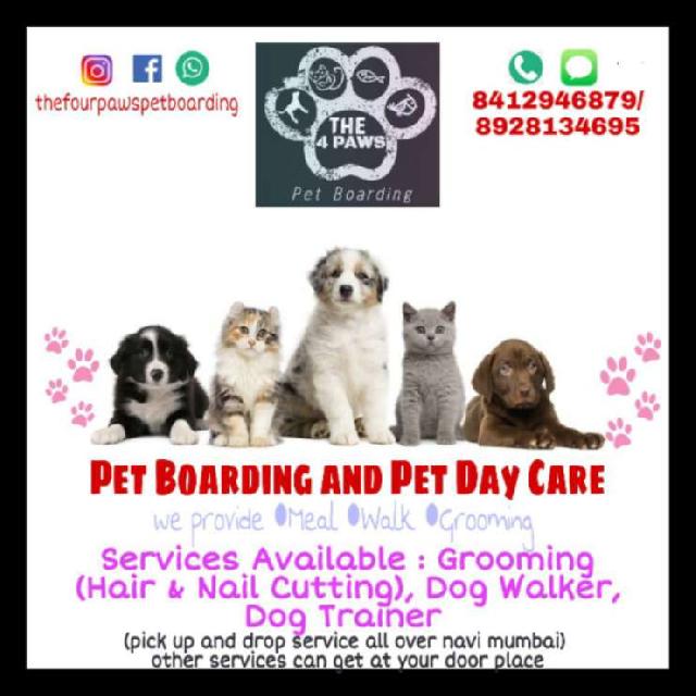 SegFormer Paper Explained State-of-the-art Transformers For, 41% OFF