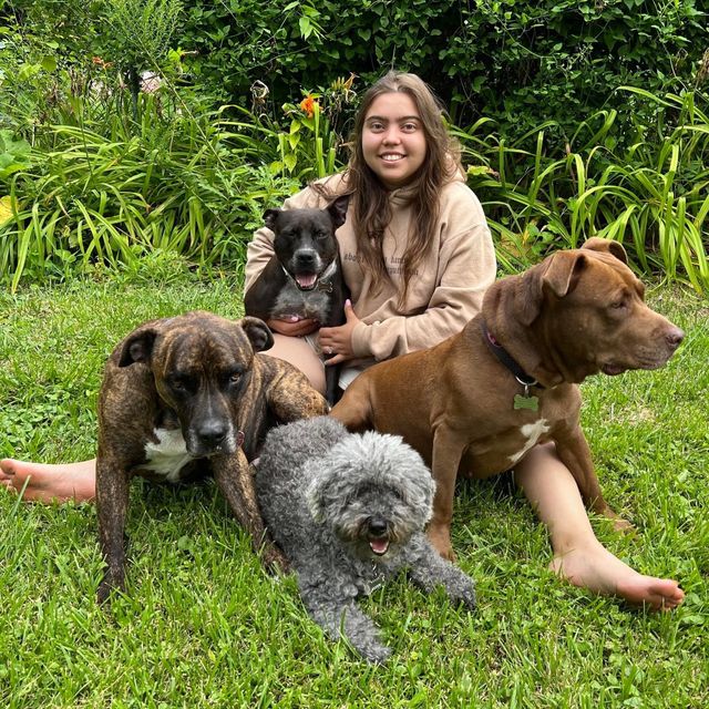 MascotaGuardería para mascotas en Orlando Airport , Orlando | Brocattos ...