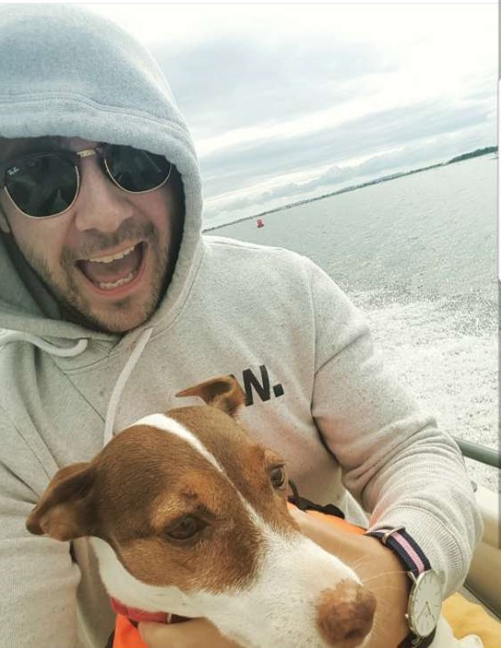 Devizes Best Pet Boarding, Grooming for Dogs, Cats with Pickup ...