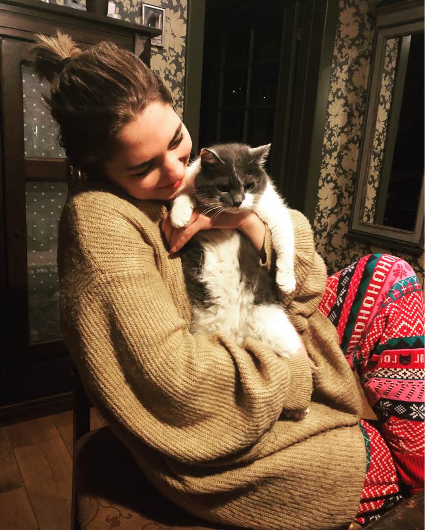 Valencia Dog Boarding Prices & Reviews | PetBacker