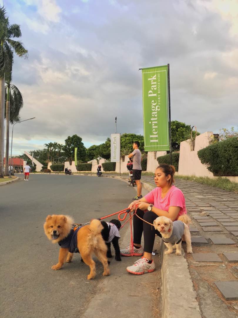 Taguig Best Pet Boarding, Grooming for Dogs, Cats with Pickup ...