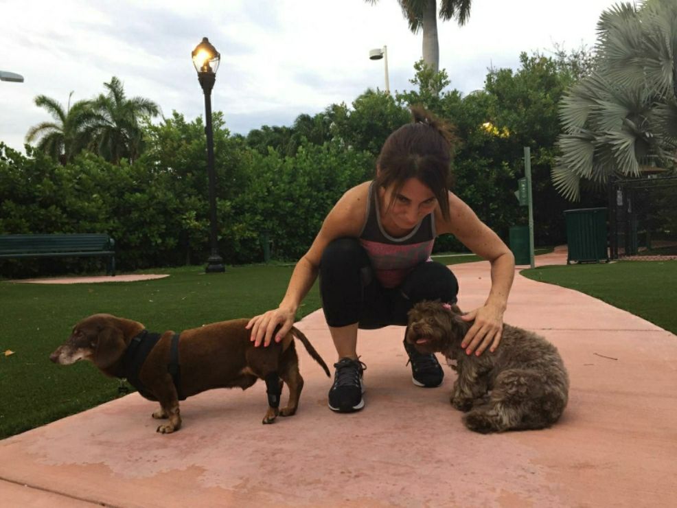 Alojamientos de perro en Miami. La alternativa a las residencias ...