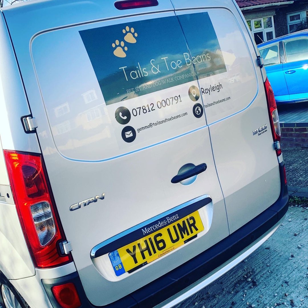 Top Pet Taxi in Basildon Ss13 with Best Prices on PetBacker