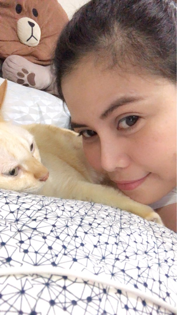 Top Cat Boarding in Ftyuj with Best Prices on PetBacker