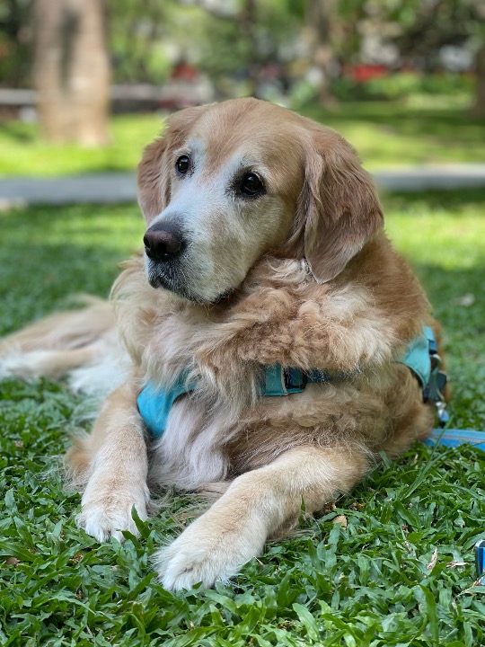 PetBacker Moment Post By Ron Geronimo. Join me on PetBacker App!