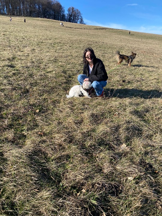 Top Dog Sitters in Wellington with Best Prices on PetBacker