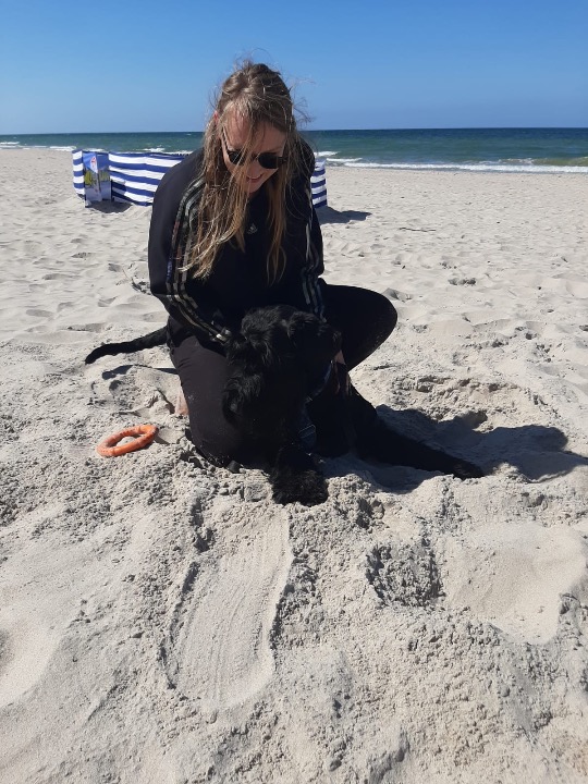Tulum Best Pet Boarding, Grooming for Dogs, Cats with Pickup ...