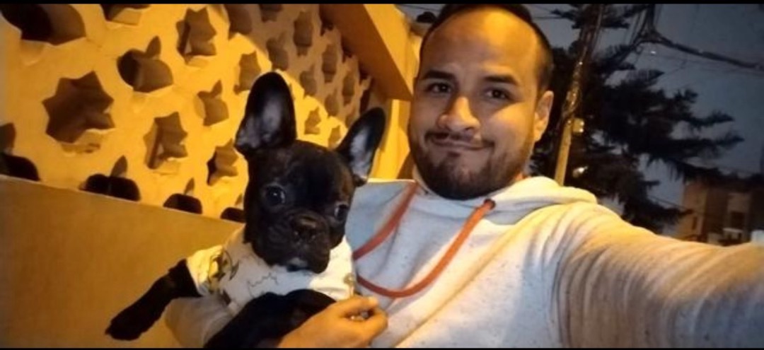 Top Dog Boarding in La Coruña with Best Prices on PetBacker