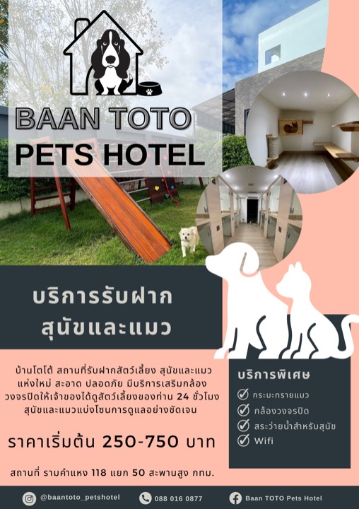 Ascot Best Pet Boarding, Grooming for Dogs, Cats with Pickup ...