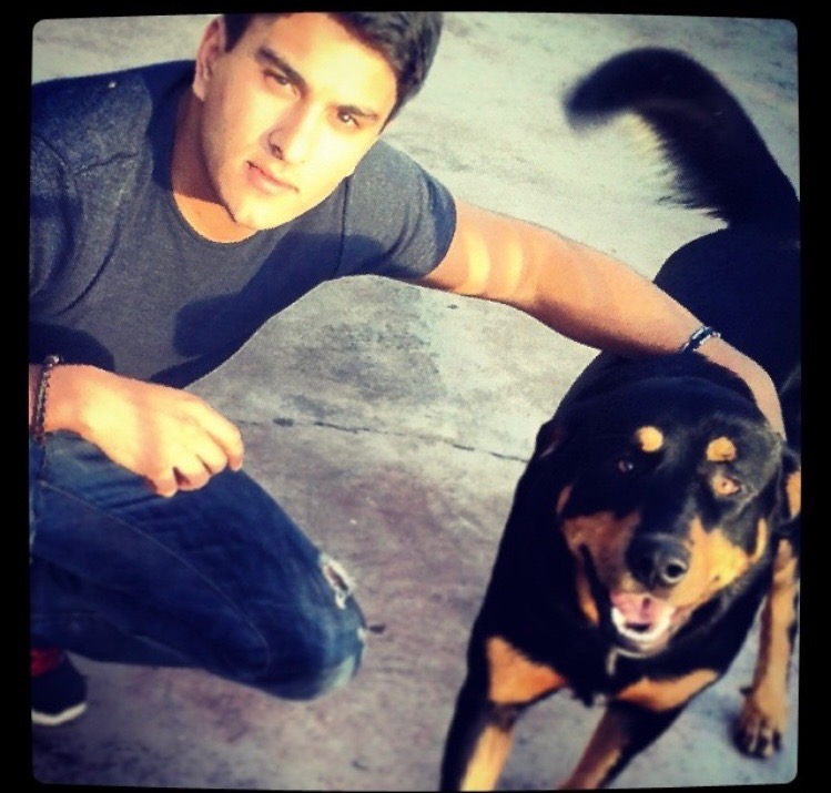 Top Valencia Dog Boarding Prices & Reviews | PetBacker