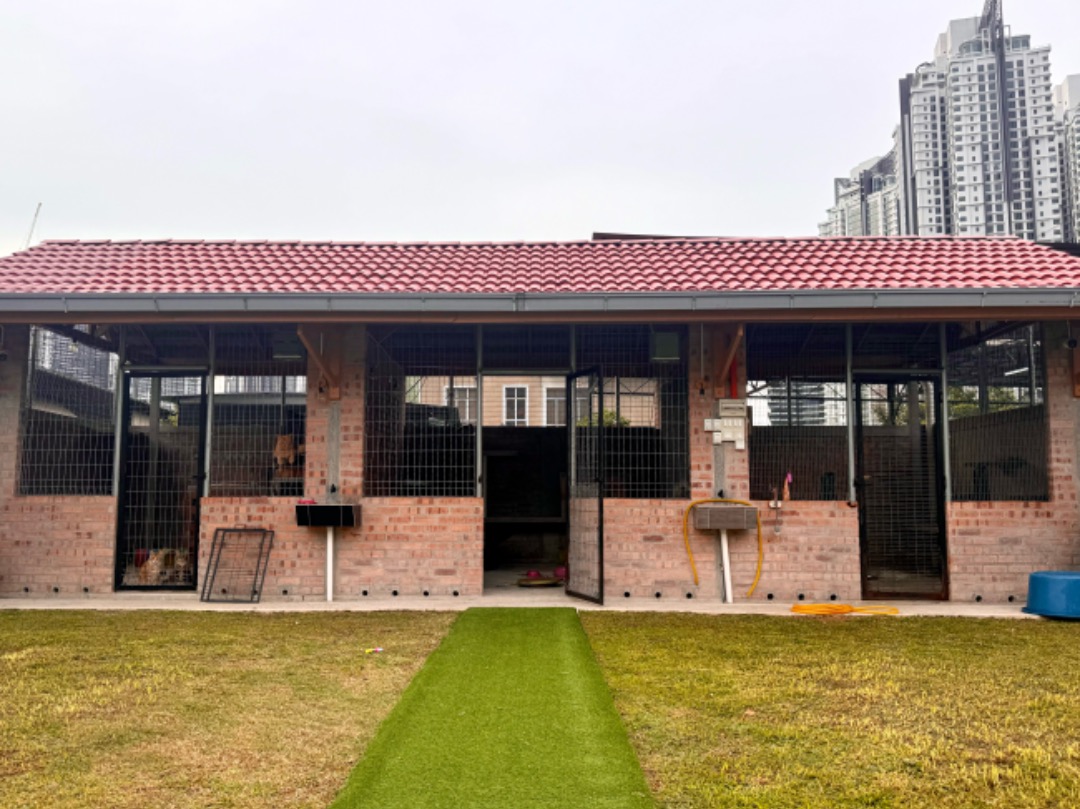 Top Pet House Sitting in Overseal with Best Prices on PetBacker