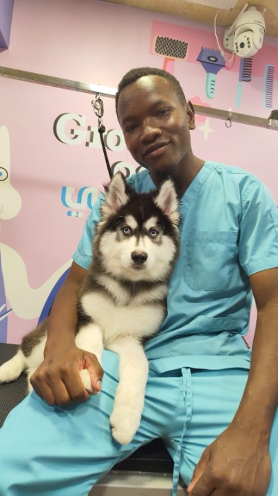 Top Dog Sitters in Parramatta Park with Best Prices on PetBacker