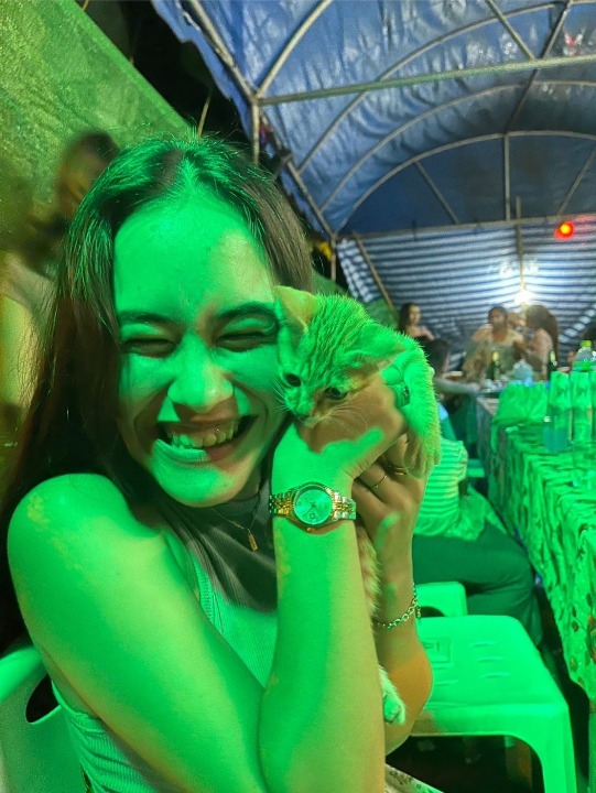 Top Daycare in Alexandra Hills with Best Prices on PetBacker