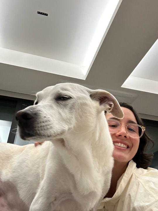 Top Plzeň Region Cat Boarding Prices & Reviews | PetBacker