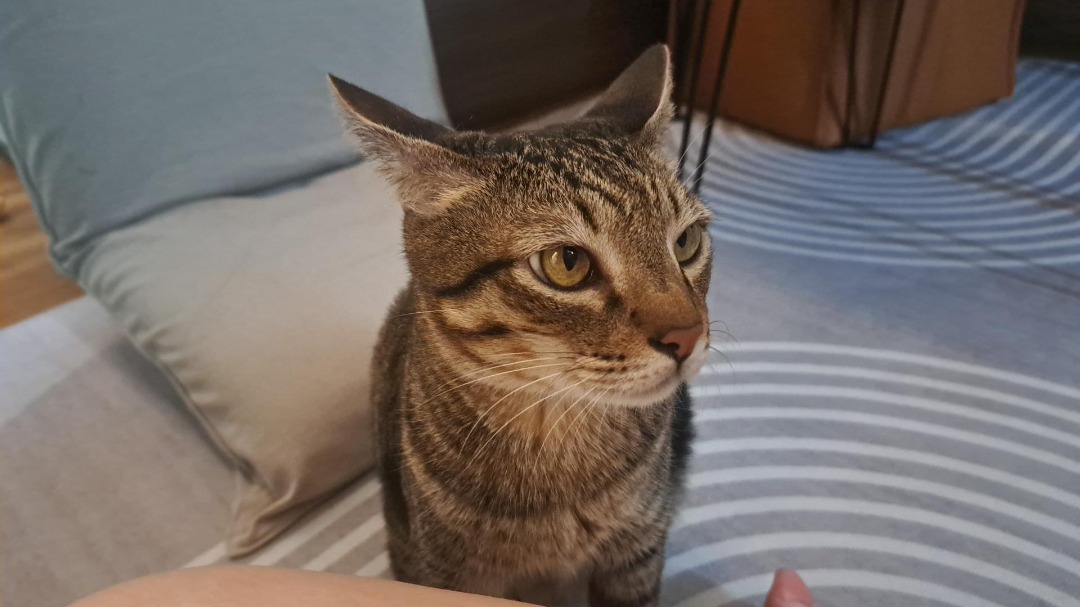 PetBacker Moment Post By Rachel. Join me on PetBacker App!