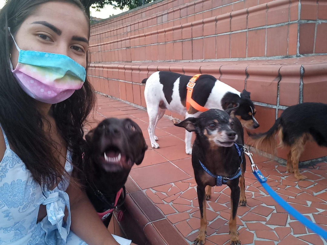 Top Valencia Dog Boarding Prices & Reviews | PetBacker